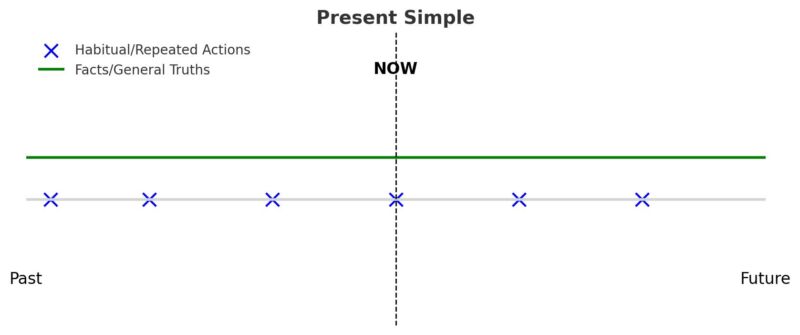 Understanding The Present Simple - MM Escola d'Idiomes